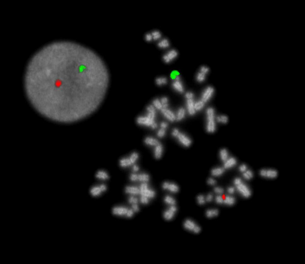 Calibre Scientific | Amplitech