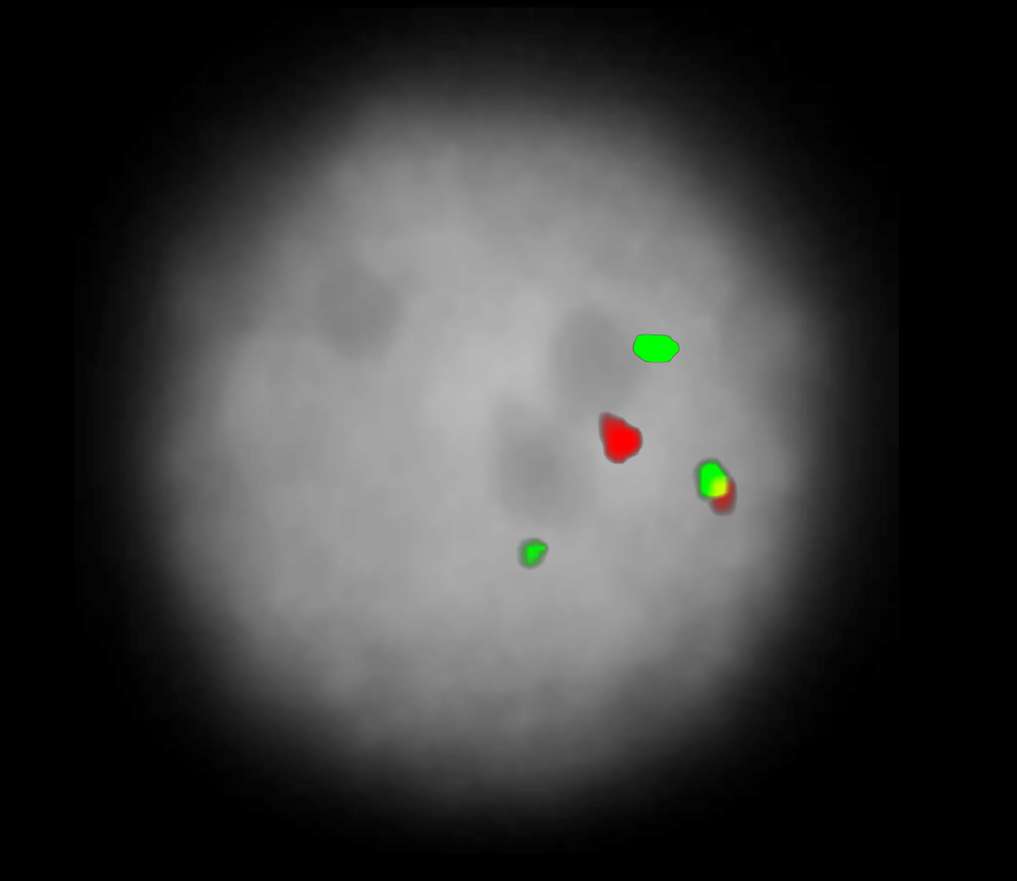 Calibre Scientific | Amplitech
