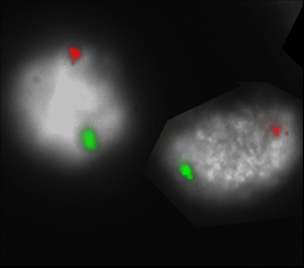 Calibre Scientific | Amplitech