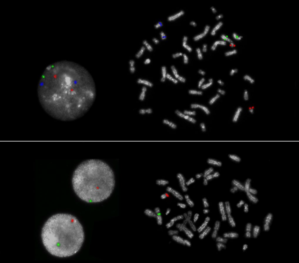 Calibre Scientific | Amplitech