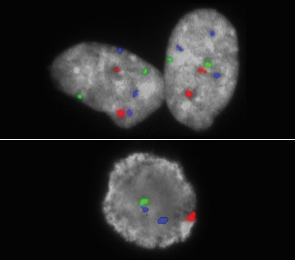 Calibre Scientific | Amplitech