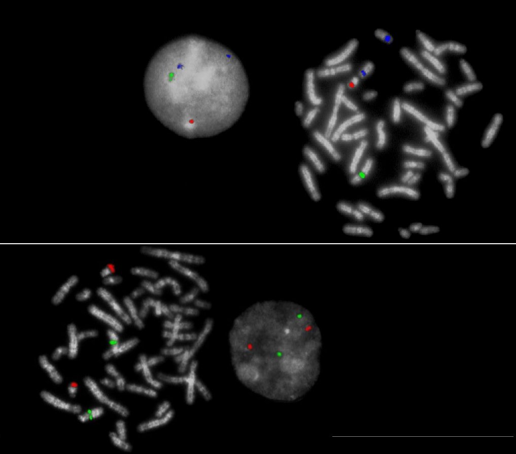 Calibre Scientific | Amplitech