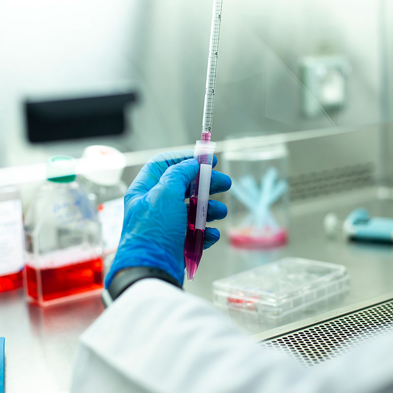 Calibre Scientific | Amplitech